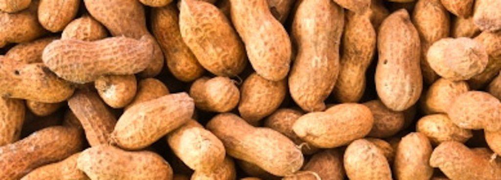 Delta Peanut to spend $70 million on first sheller in Arkansas, will ...
