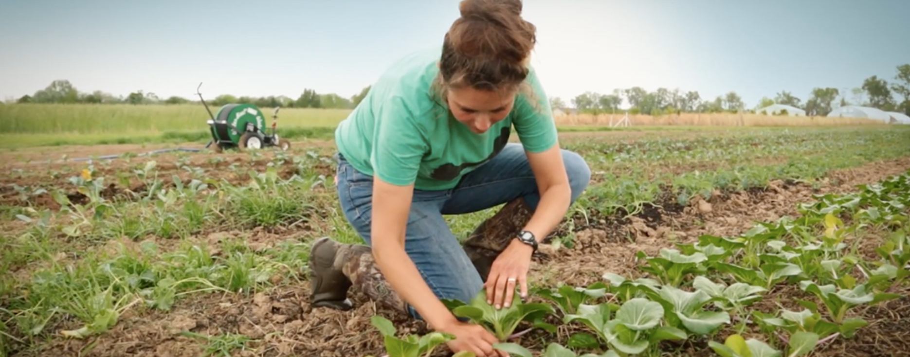 Heifer International hopes to help small-scale farmers in Arkansas ...