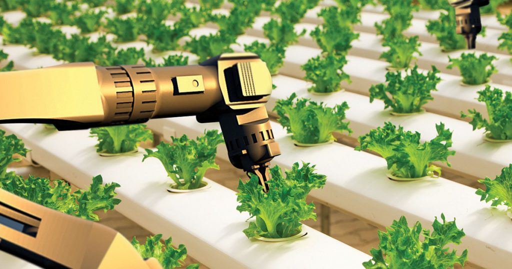 New UA accelerator aimed at engineers, agri industry - Talk Business ...