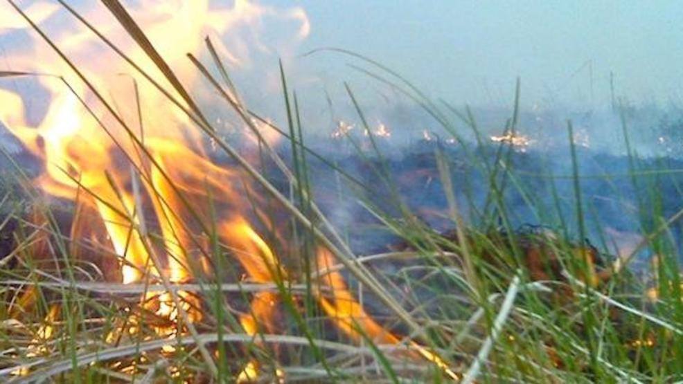 Research shows burning fields may negatively impact soil health ...