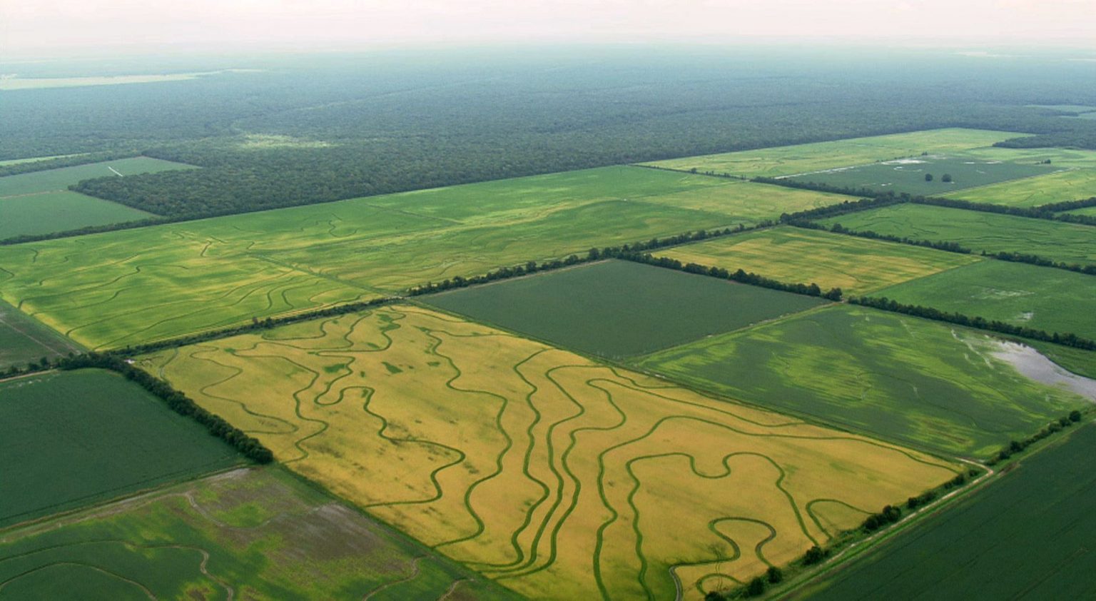 Former Sen. Blanche Lincoln, former House Speaker Benny Petrus among ...