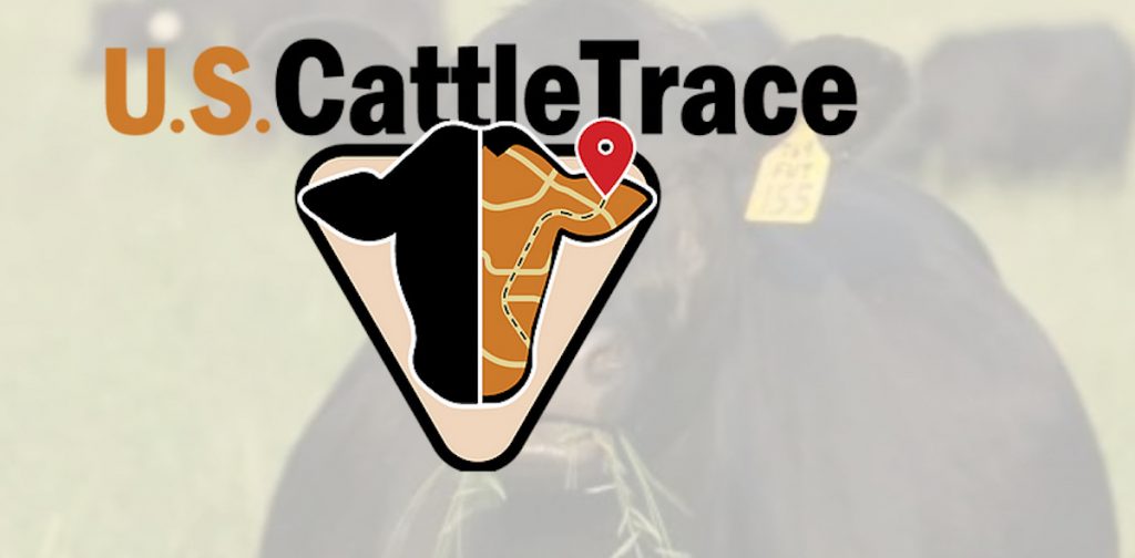 Tyson Foods joins U.S. cattle traceability program - Talk Business ...