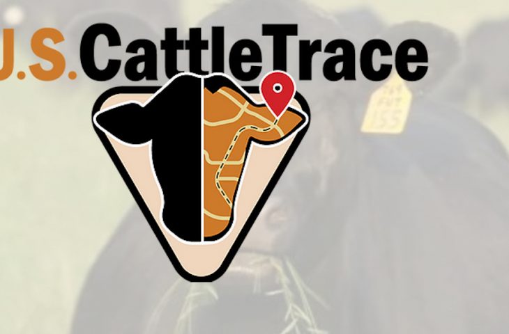 Features - Talk Business & Politics