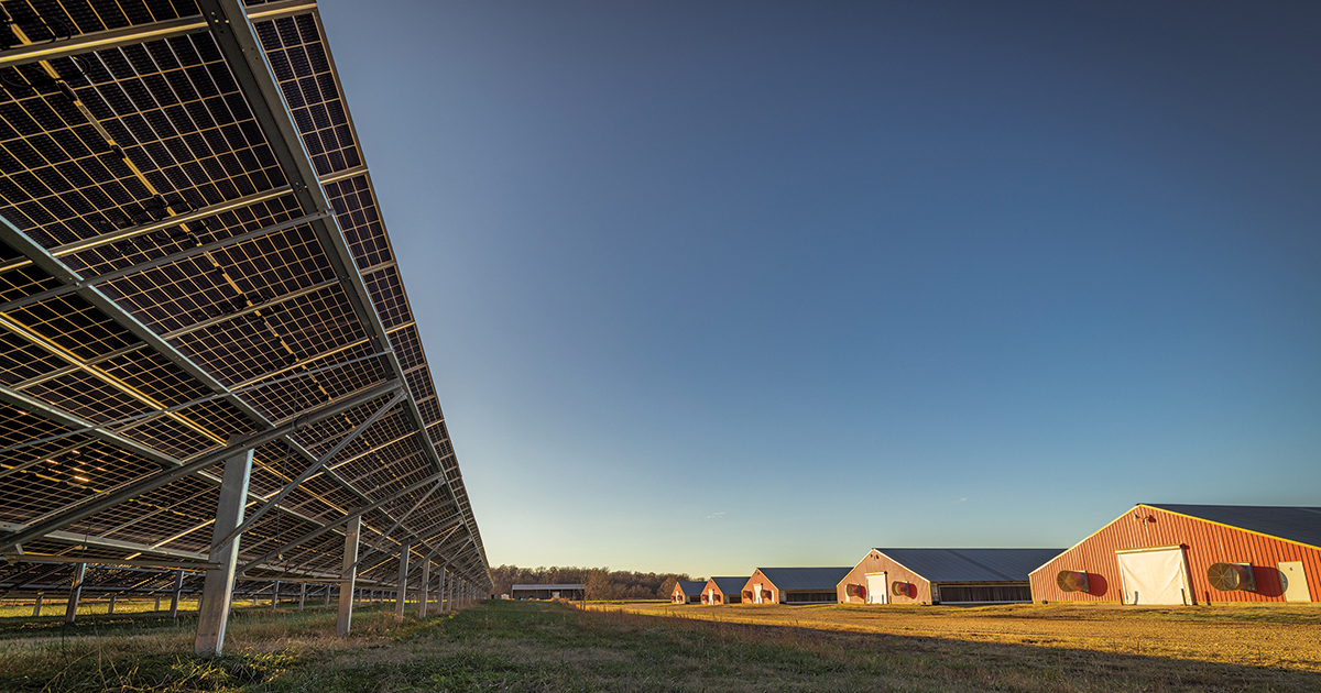 NWA solar array is one of the largest of its kind - Talk Business ...