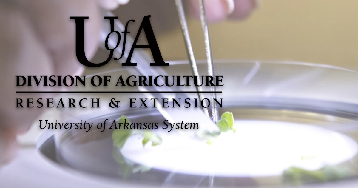 Federal funding would help build $50 million UA food science center ...